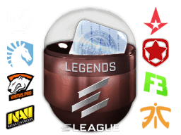 EMS Katowice 2014 Legends | Exeskins