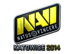 All Katowice 2014 Stickers in CS2 | Exeskins